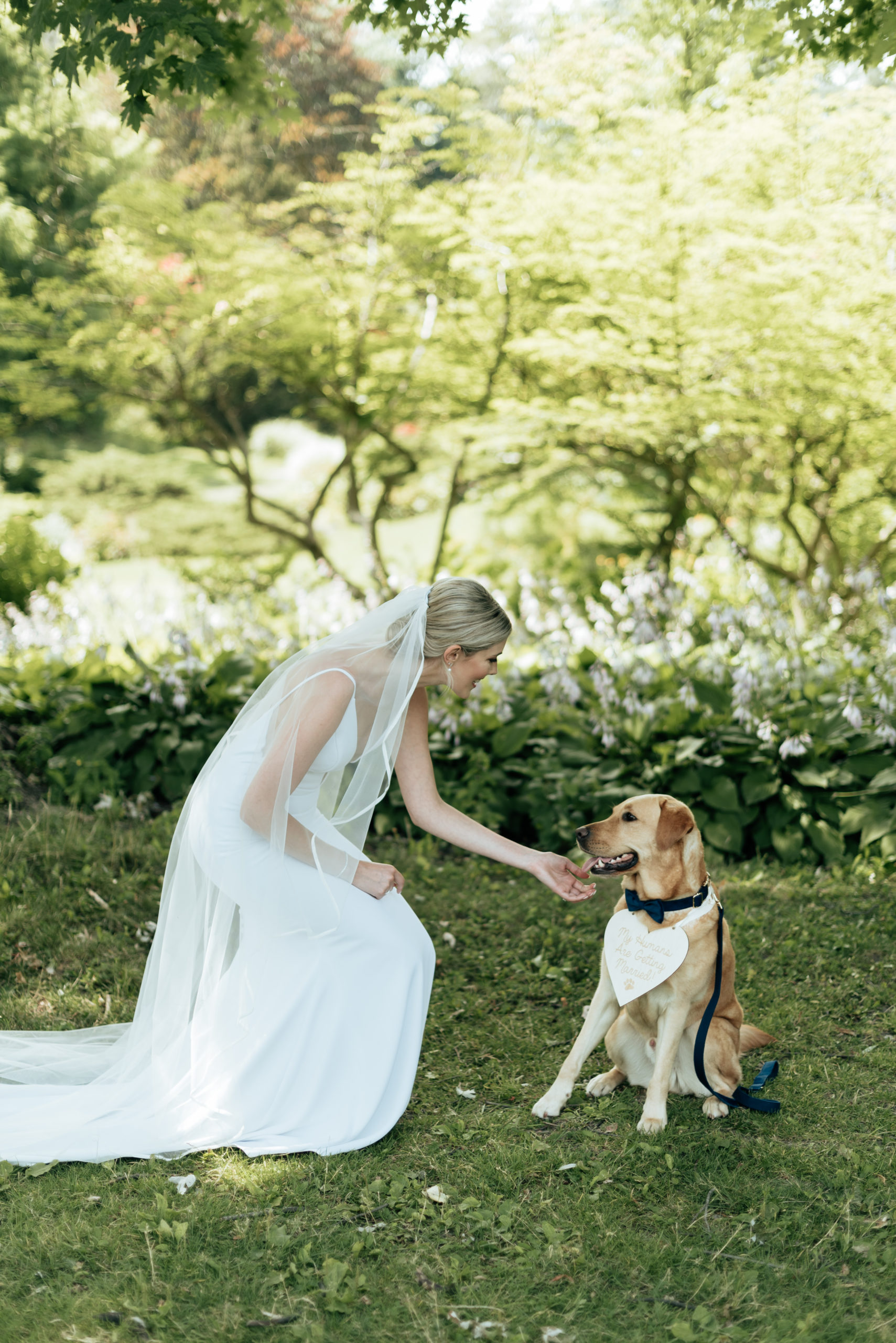 Erin + Steven - Sash + Bustle Bridal Boutique